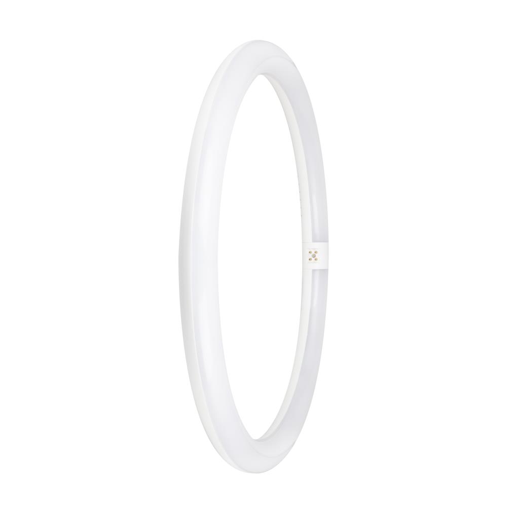 OSRAM T9 G10q LED-Röhre in Ringform 24W 6500K